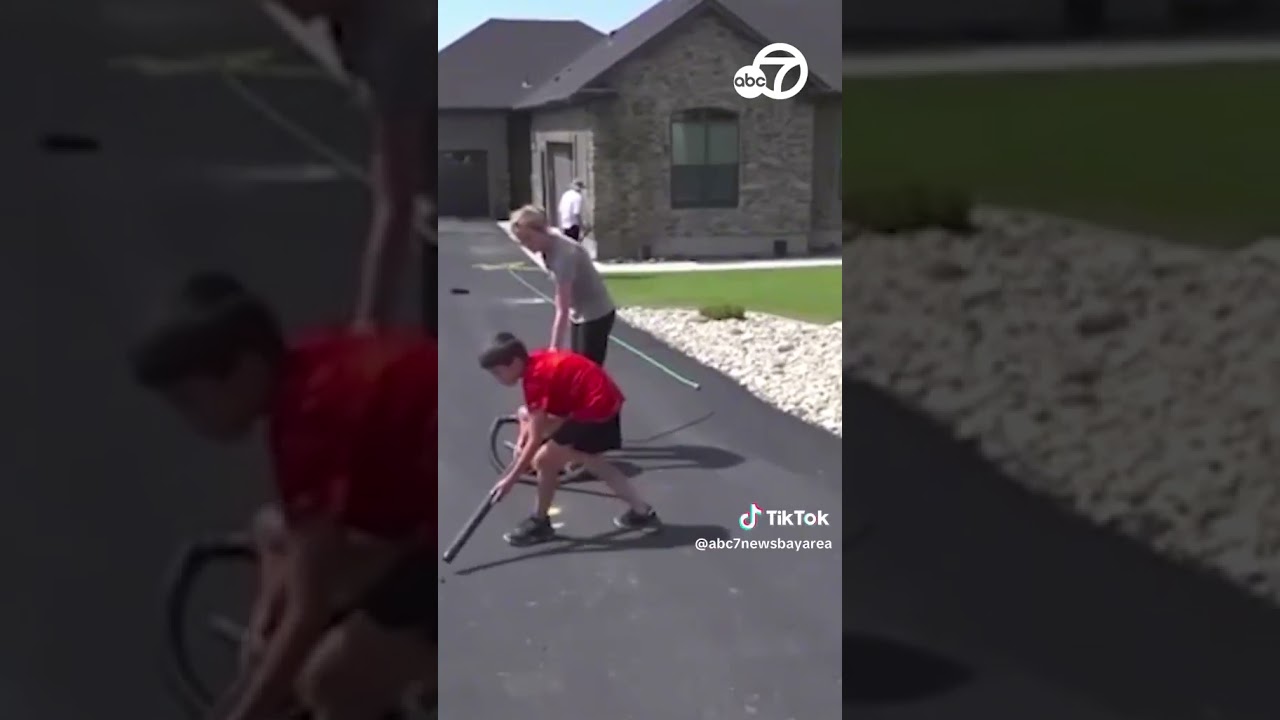 Millions of crickets invade Nevada