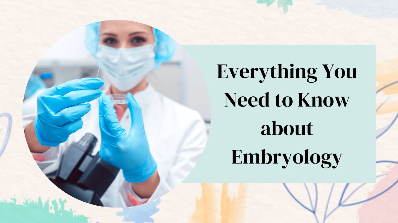 Everything You Need to Know about Embryology