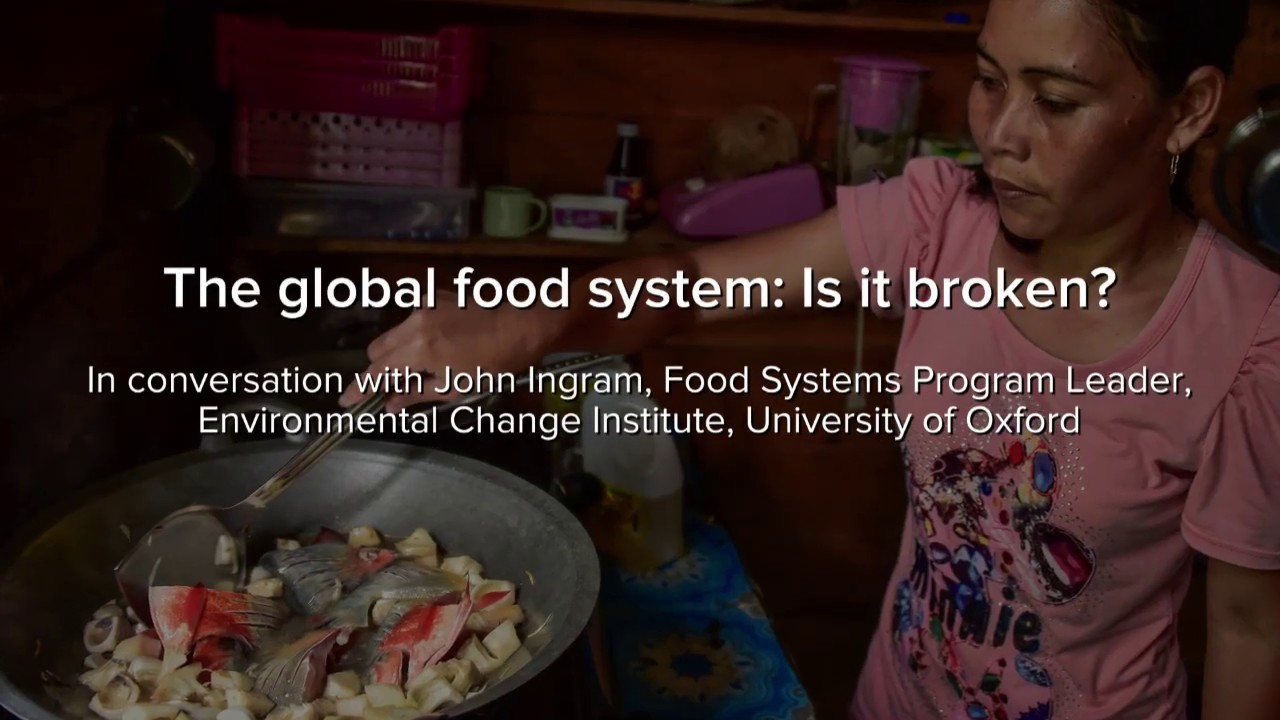 The global food system: Is it broken?