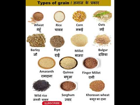 Type of Grain//अनाज के नाम