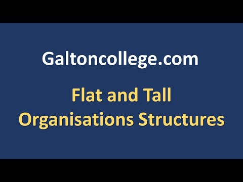 Flat and Tall Organisation Structures