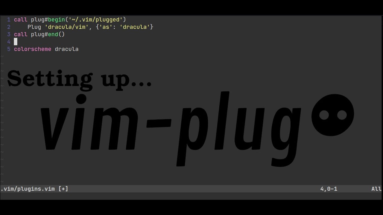 Vim : vim-plug Installation (Installation of Plugins/Extensions Manager for VIM)
