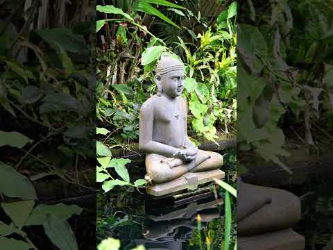 Marie Selby Botanical Garden in Sarasota, Florida #florida #sarasota #botanialgarden #floridatravel