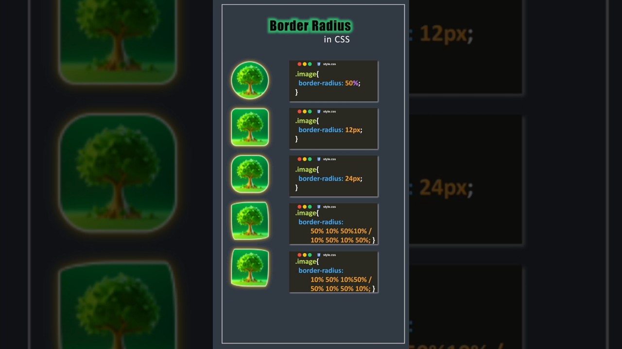 Elevate Your Website with CSS Border Radius Mastery #css #shorts #coding #viral
