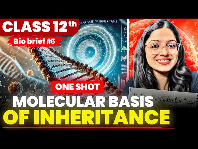 Understanding the Molecular Basis of Inheritance: A Comprehensive Guide for Class 12 Biology ...