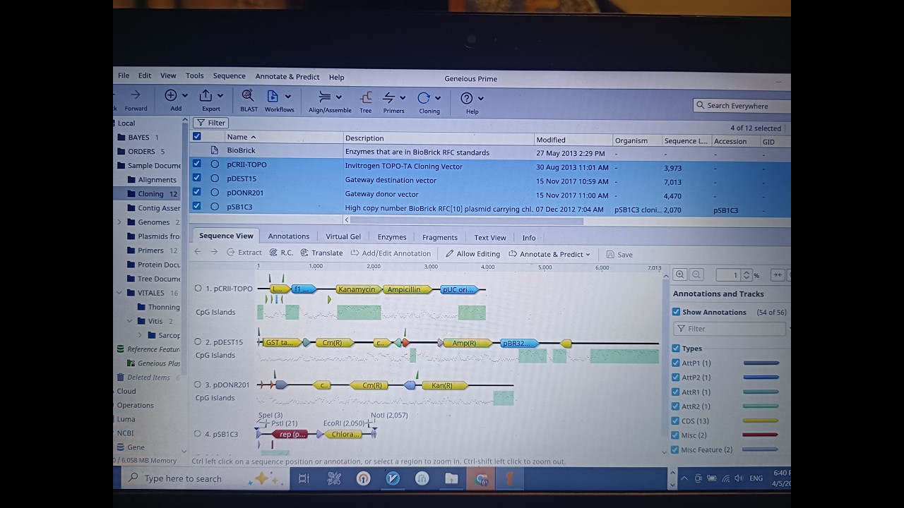 How to install Geneious Prime V24 for free and to install plugins