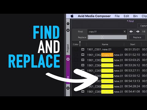 Change Clip Names Fast: Find and Replace Tool - Tutorial