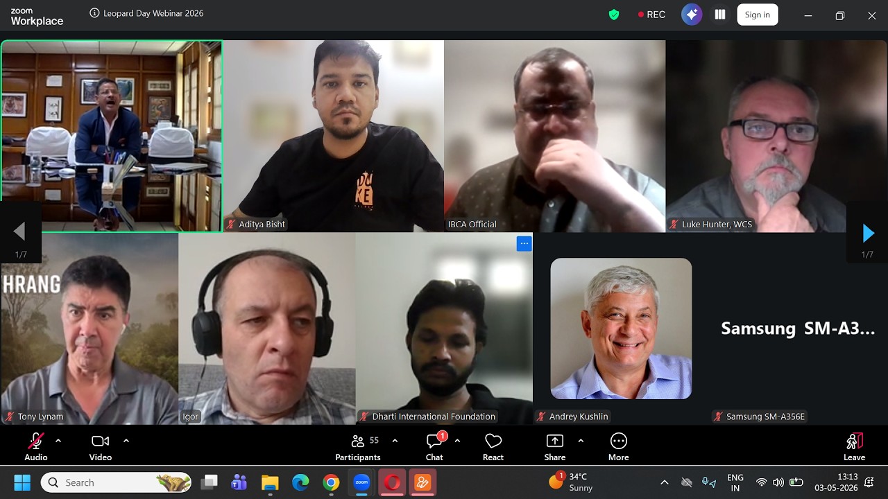 IBCA Webinar-International Leopard Day.