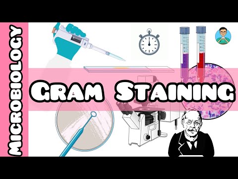 Gram Staining | Microbiology | What is gram-positive vs gram negative?