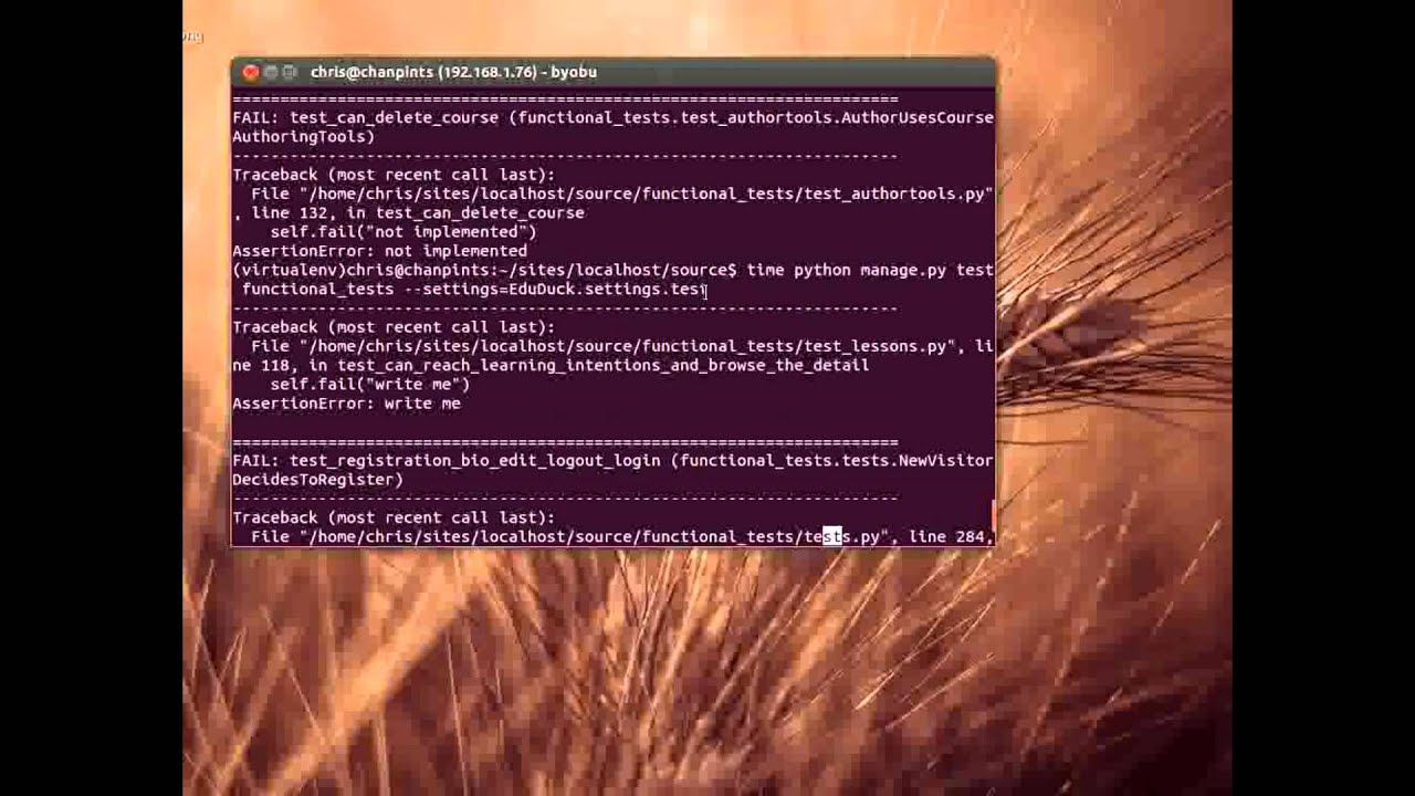Functional tests with Selenium