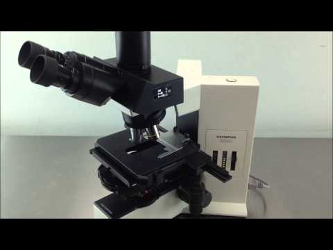 Olympus Laboratory Microscope - Latest Price, Dealers & Retailers in India