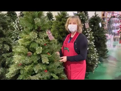 Robyn talks with Alison about some of our popular Christmas Trees from the Christmas Elves Forest