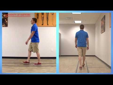 Dynamic Gait Index (DGI) – Y HỌC PHỤC HỒI