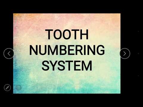 Tooth numbering system