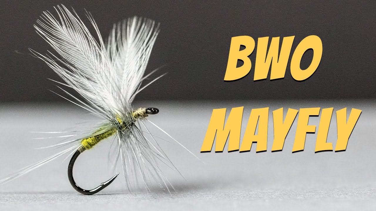 Blue Wing Olive (BWO) Mayfly Fly Pattern