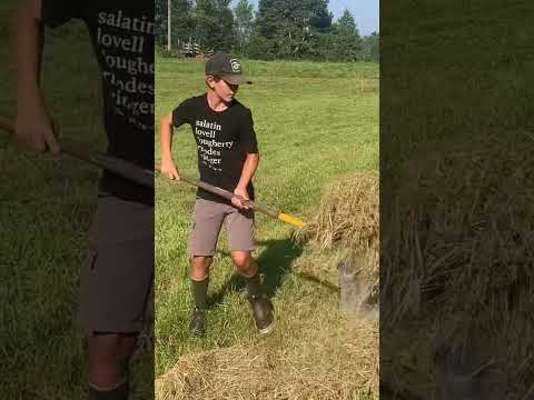 Making Hay by Hand