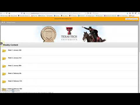 Blackboard Basics