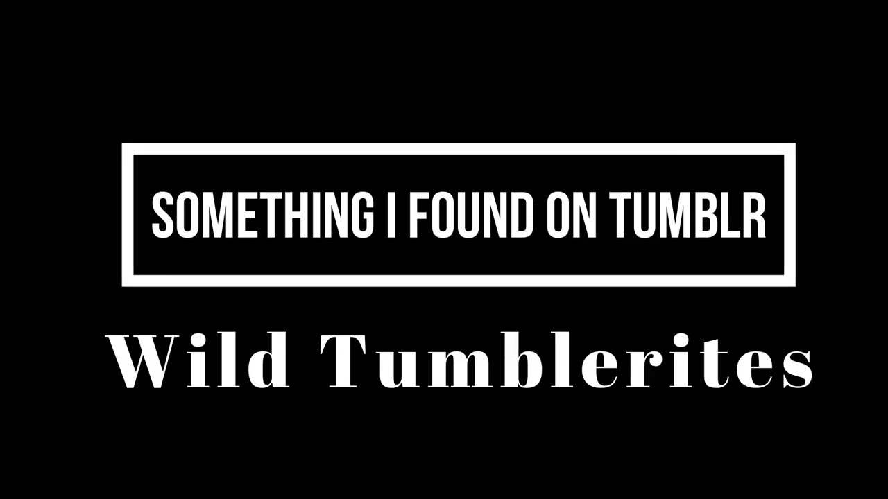 Something I Found on Tumblr: Wild Tumblerites