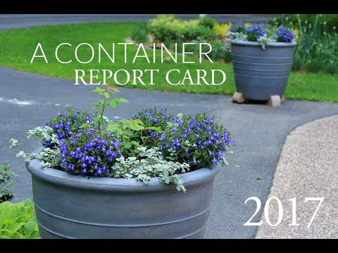 Container report card