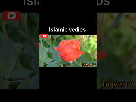 Talawit Quran Islamic vedios.