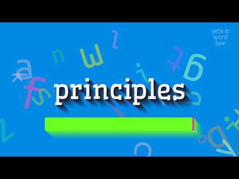 HOW TO SAY PRINCIPLES? #principles