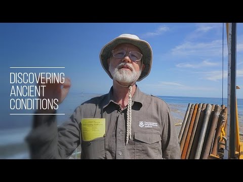 Discovering the Reef's Ancient Conditions - attenboroughsreef.com