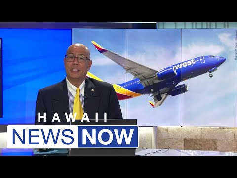 Cheap inter-island flights could soon be coming to an end, some experts predict