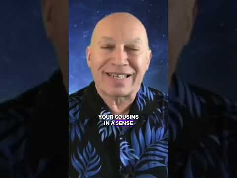 Bashar on the first ETs we will meet in open contact #bashar #channeling #opencontact #ufo #ufos