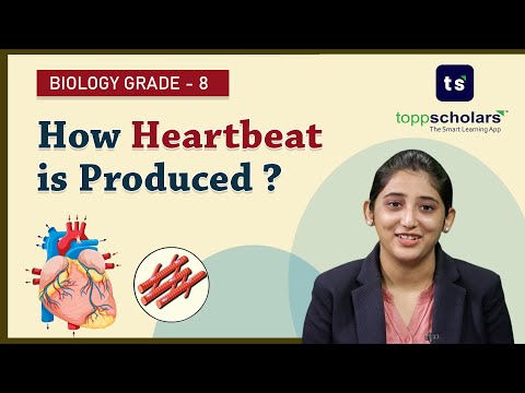 Pacemaker | Natural pacemaker | Artificial Pacemaker| Heart | Heartbeat | Biology | Life science