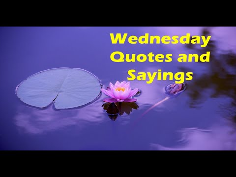 Wednesday Quotes and Sayings | Wednesday morning quotes | happy Wednesday quotes