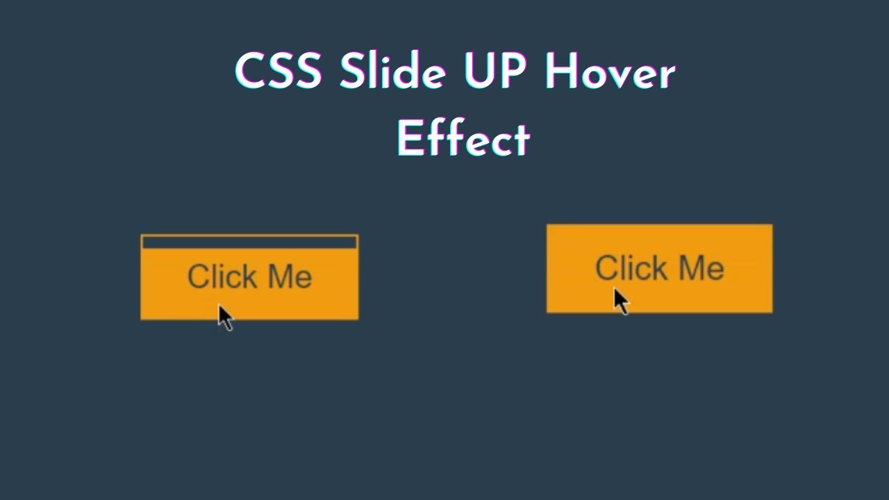 CSS Button Hover Slide Up Effect | Animated Sliding Hover Effect | Pure HTML CSS | CSS Design