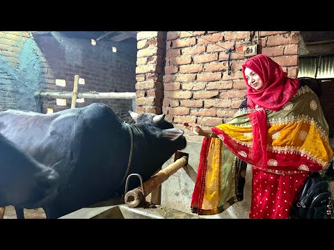 আল্লাহর সন্তুষ্টি আদায়ের জন্য প্রতিবছরই এই আনন্দের মুহূর্তটা পায় ।।আলহামদুলিল্লাহ।। ❤️❤️❤️