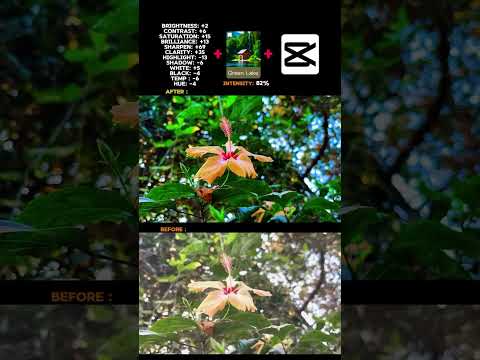 Cap Cut Best Editing Customise HDR Video #edit #video #customise #capcut #hdr #shorts