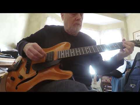 Tim Bram Tribute thinline archtop custom built | Reverb