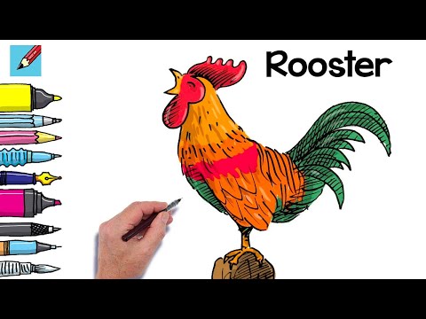 How to draw a Rooster – Shoo Rayner