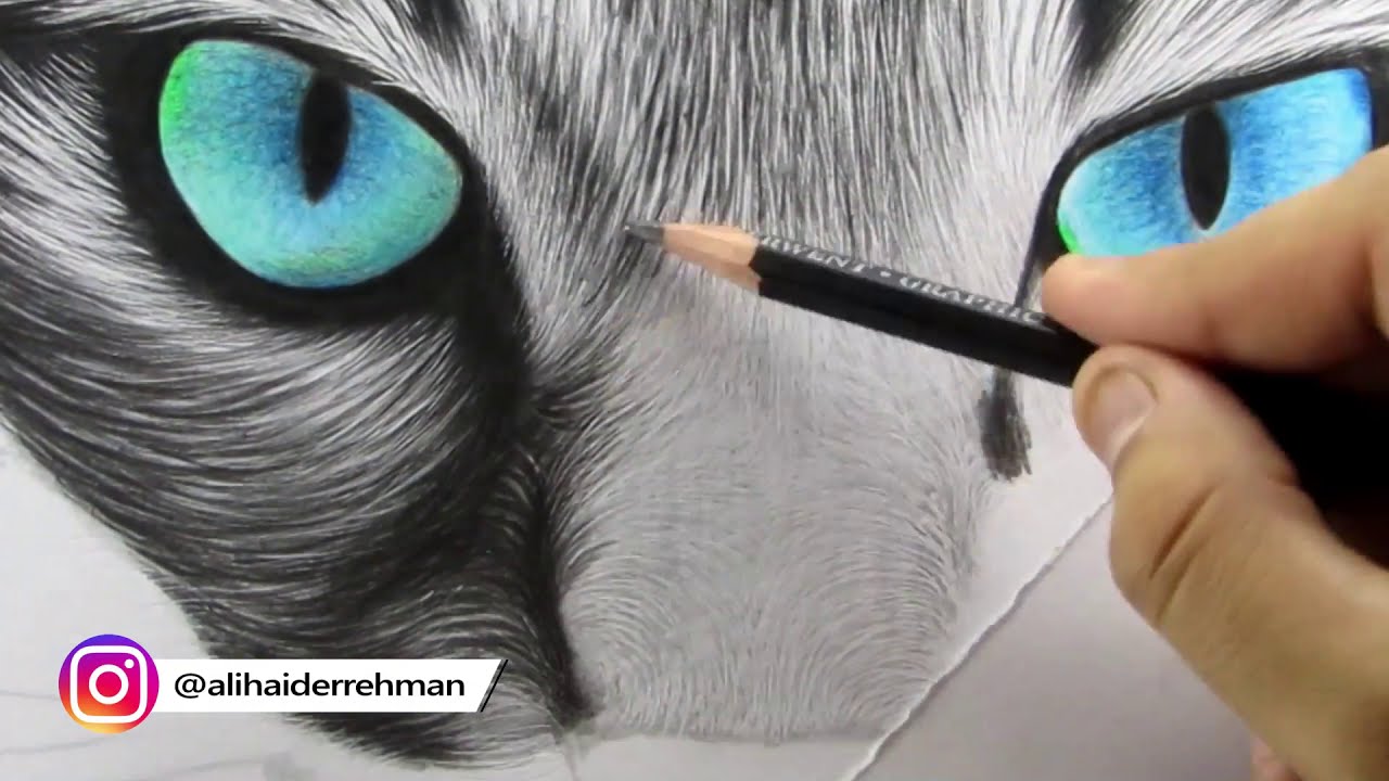 How To Draw Realistic Cat Eyes