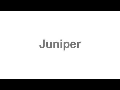 How to Pronounce "Juniper"