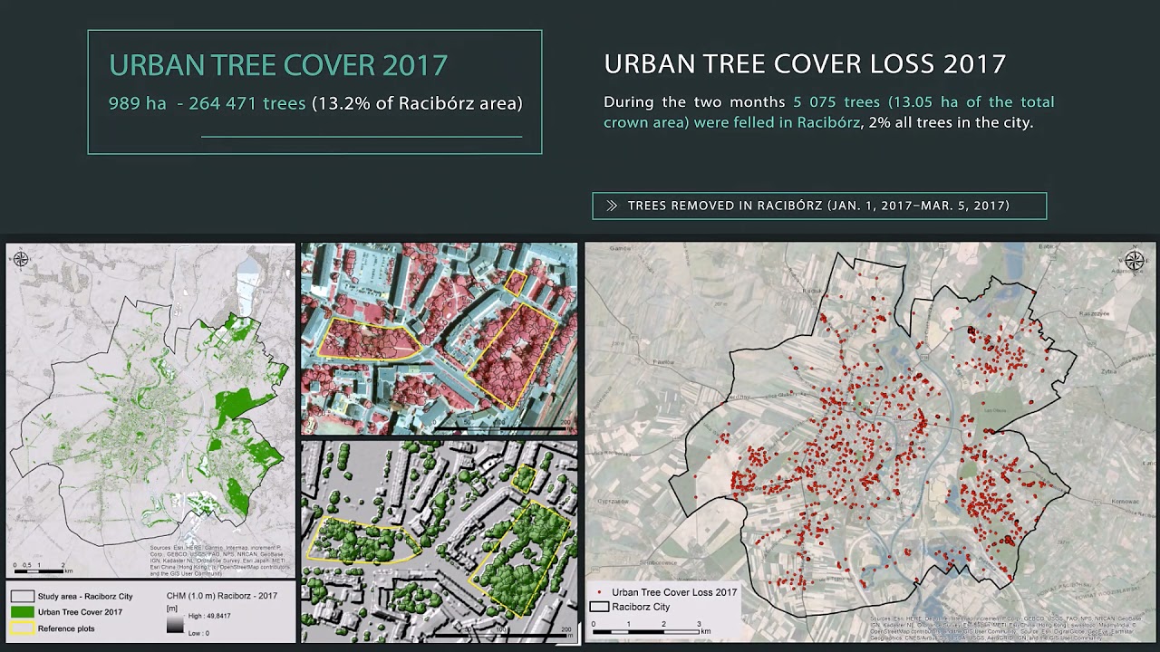 Improving methods to calculate the loss of ecosystem services provided by urban trees using LiDAR