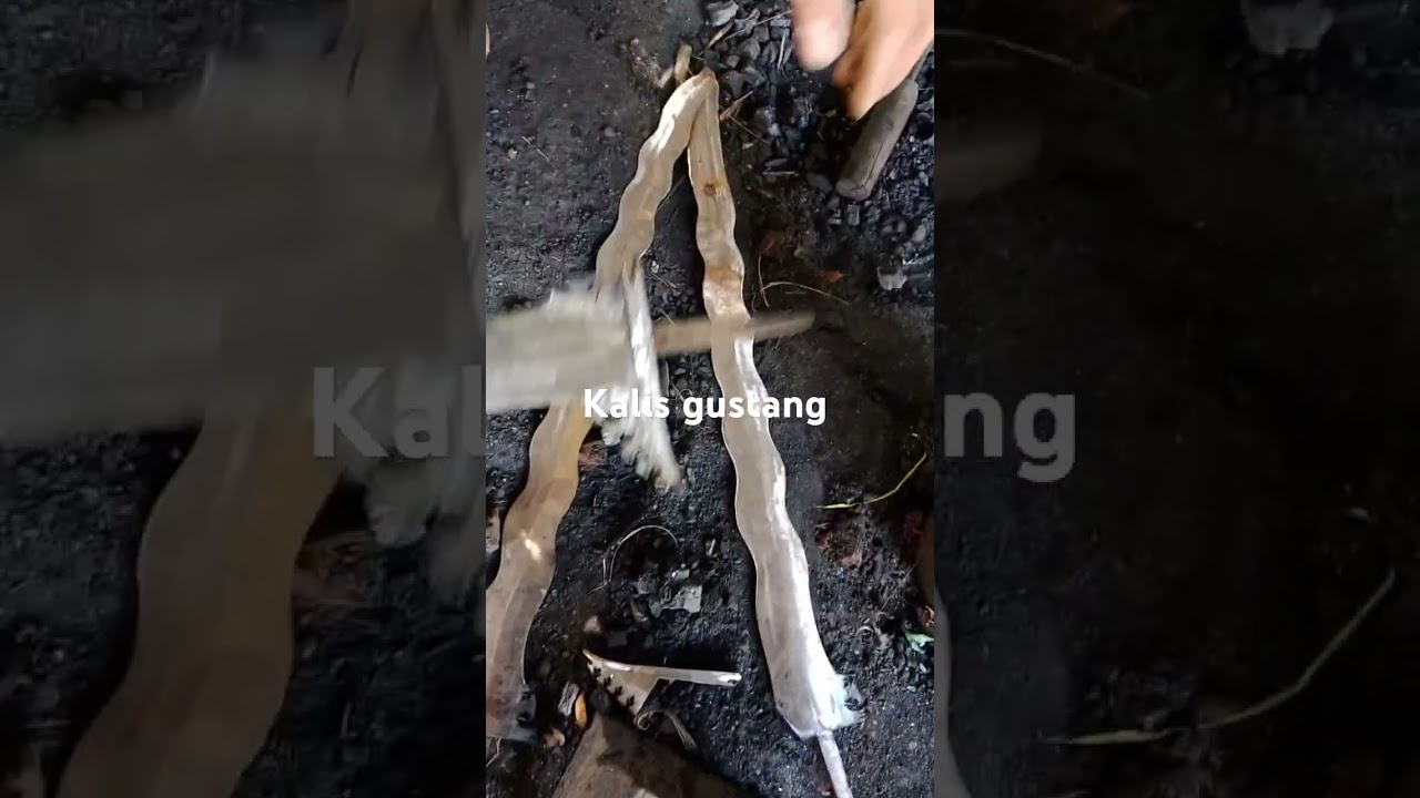 TAUSUG KALIS gustang