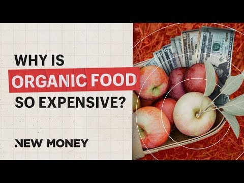 Why is Organic Food so Expensive? - Organic Food Providers Video By ...