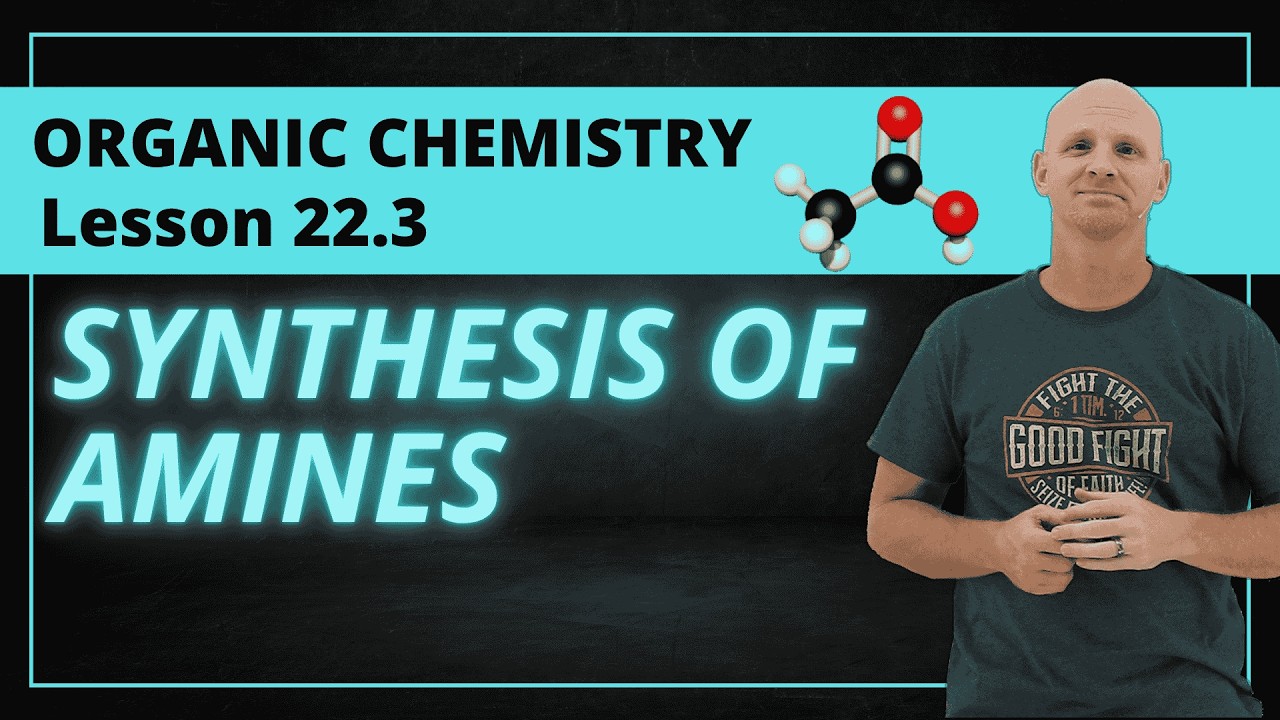 Synthesis of Amines | 22.3 Organic Chemistry