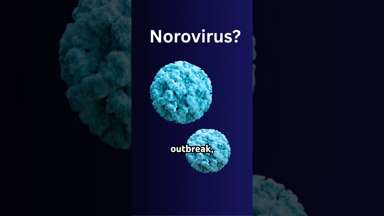 What is Norovirus? (The Stomach Bug Explained)