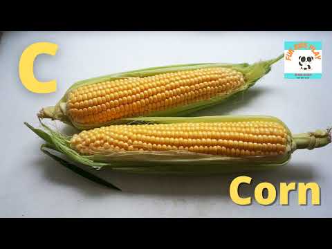 Five Words that Start with C | ABC | Alphabet