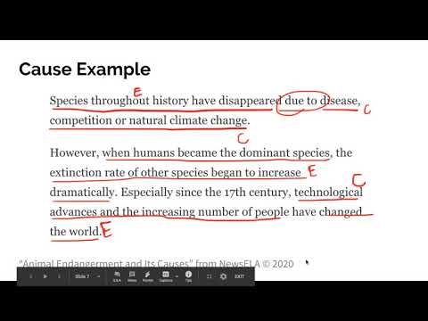 What is Cause/Effect Text Structure?