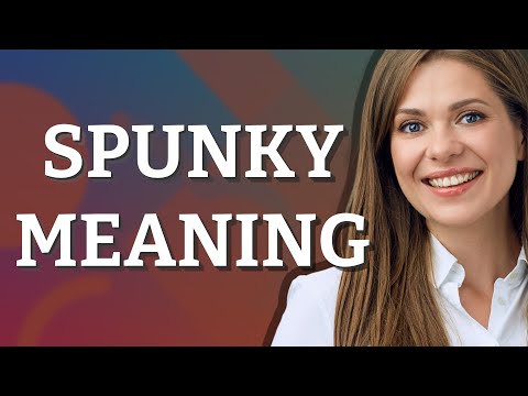 Spunky | meaning of Spunky