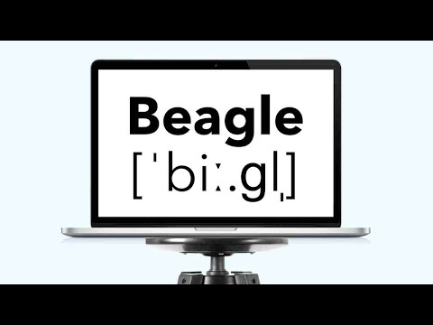 Learn Something About The Word BEAGLE