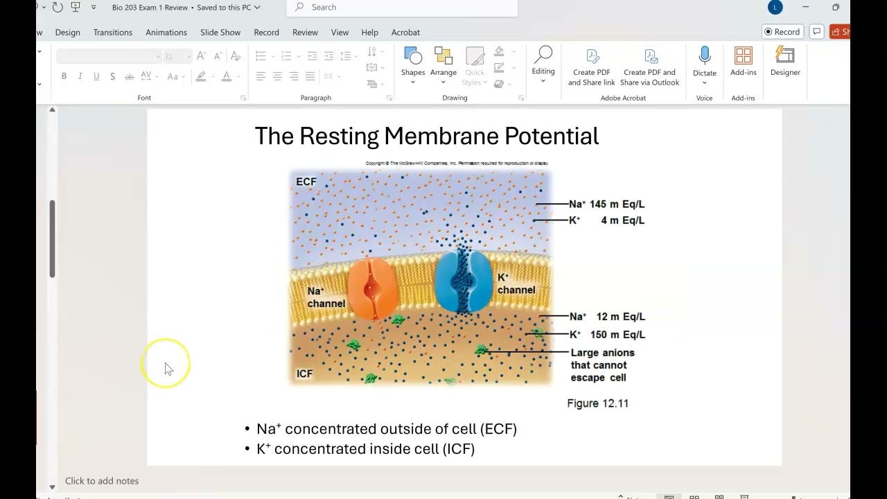 Bio 203 Exam 1 Review