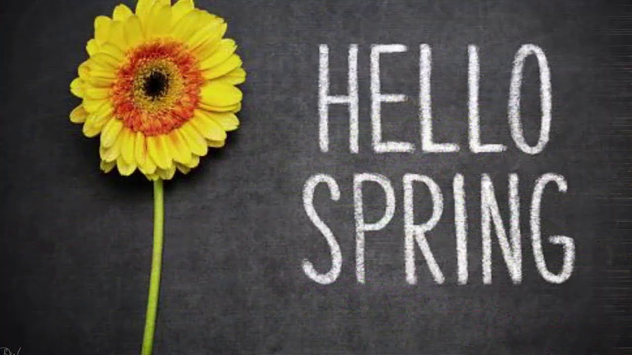Hello Spring | Goodbye Winter| Happy Spring Quotes & Wishes