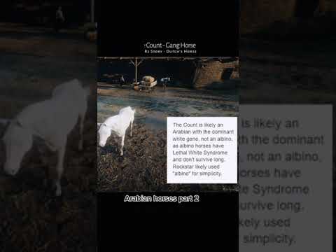 Steam Community :: Video :: RDR2 • All Arabian Horse Colors and ...