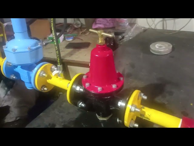 gas pressure regulator - Vanaz Gas PRV R-4109 Exporter from Ahmedabad